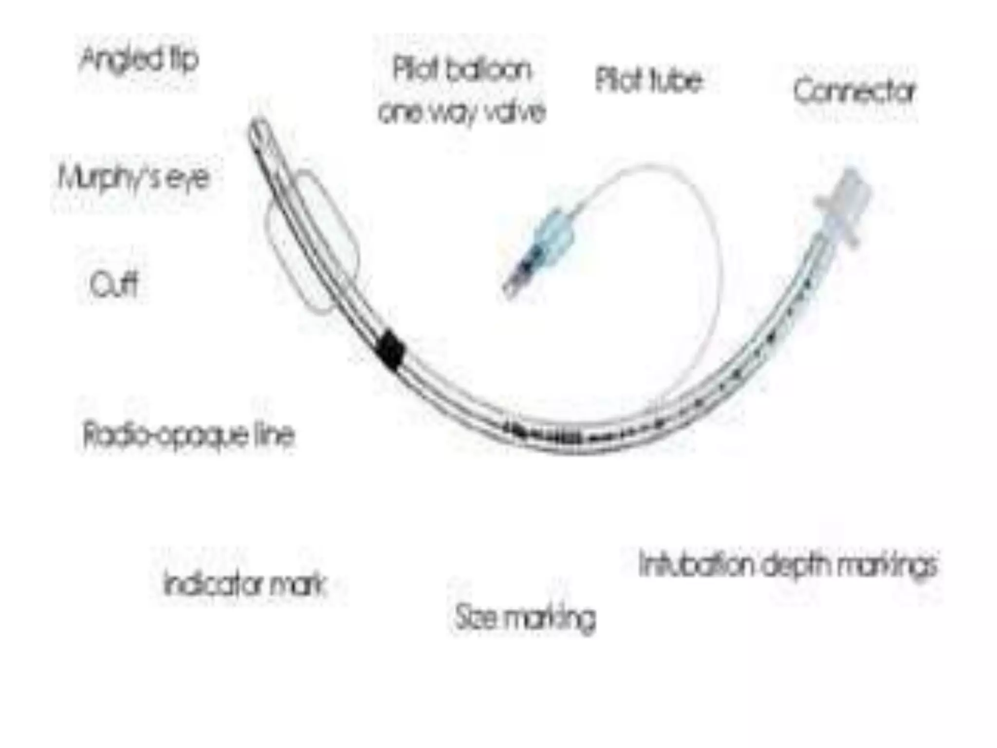 Intubation ppt | PPTX