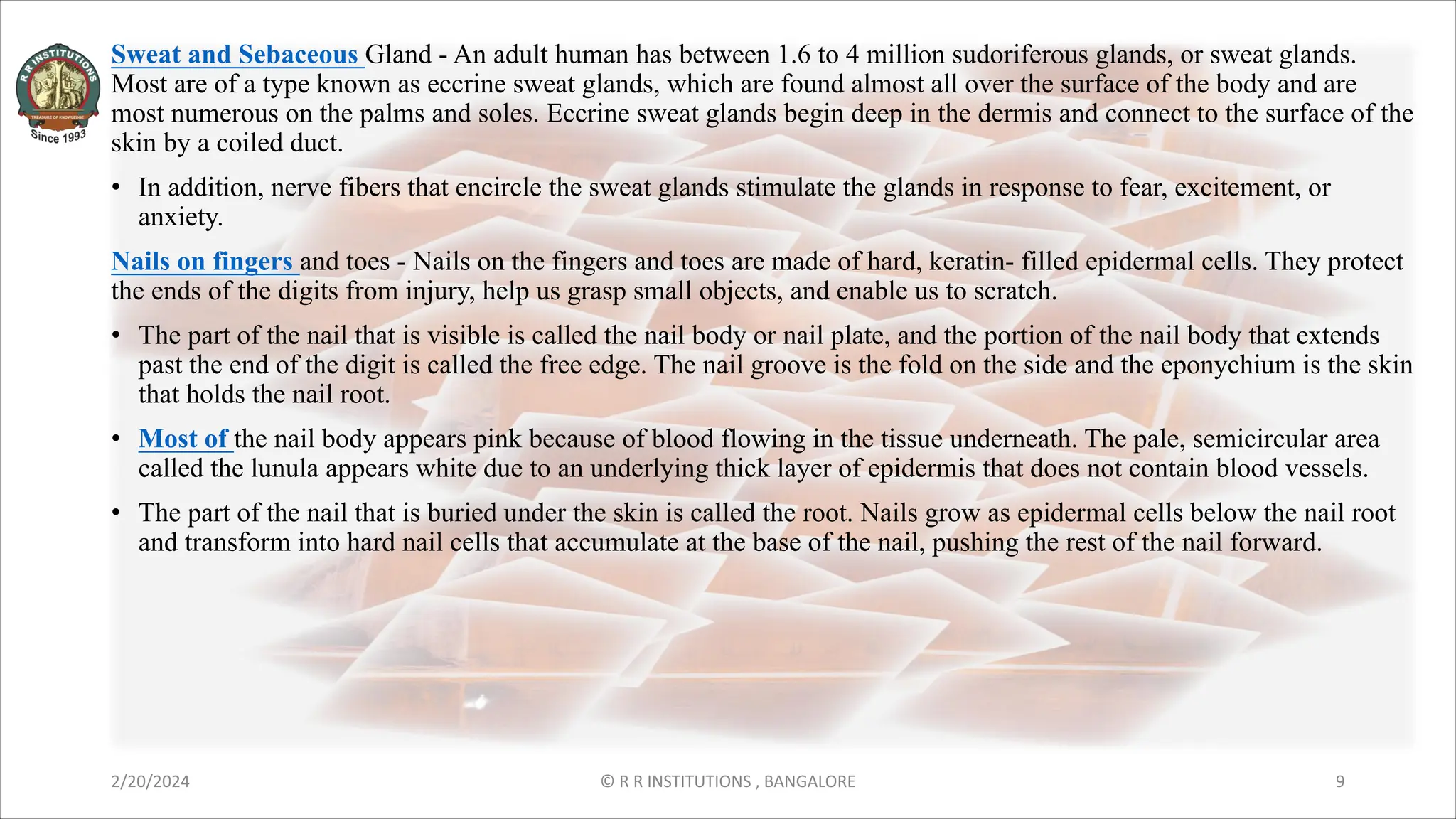 "ANATOMY AND PHYSIOLOGY OF THE SKIN".pdf
