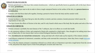 "ANATOMY AND PHYSIOLOGY OF THE SKIN".pdf