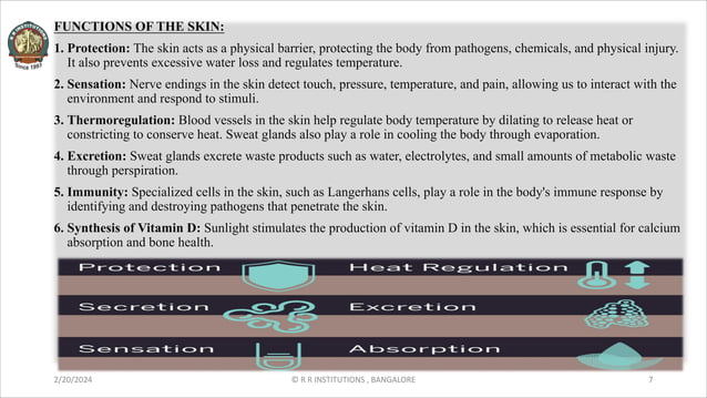 "ANATOMY AND PHYSIOLOGY OF THE SKIN".pdf | Skin and Dermatology ...