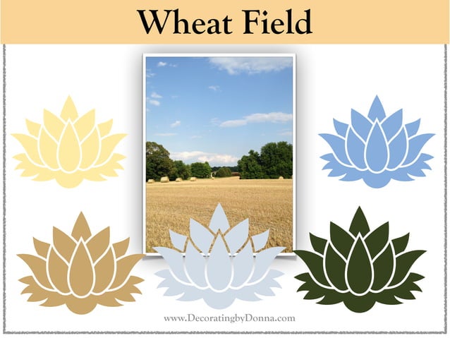 Intuitive Color Expert Who Sees Color Differently | PDF