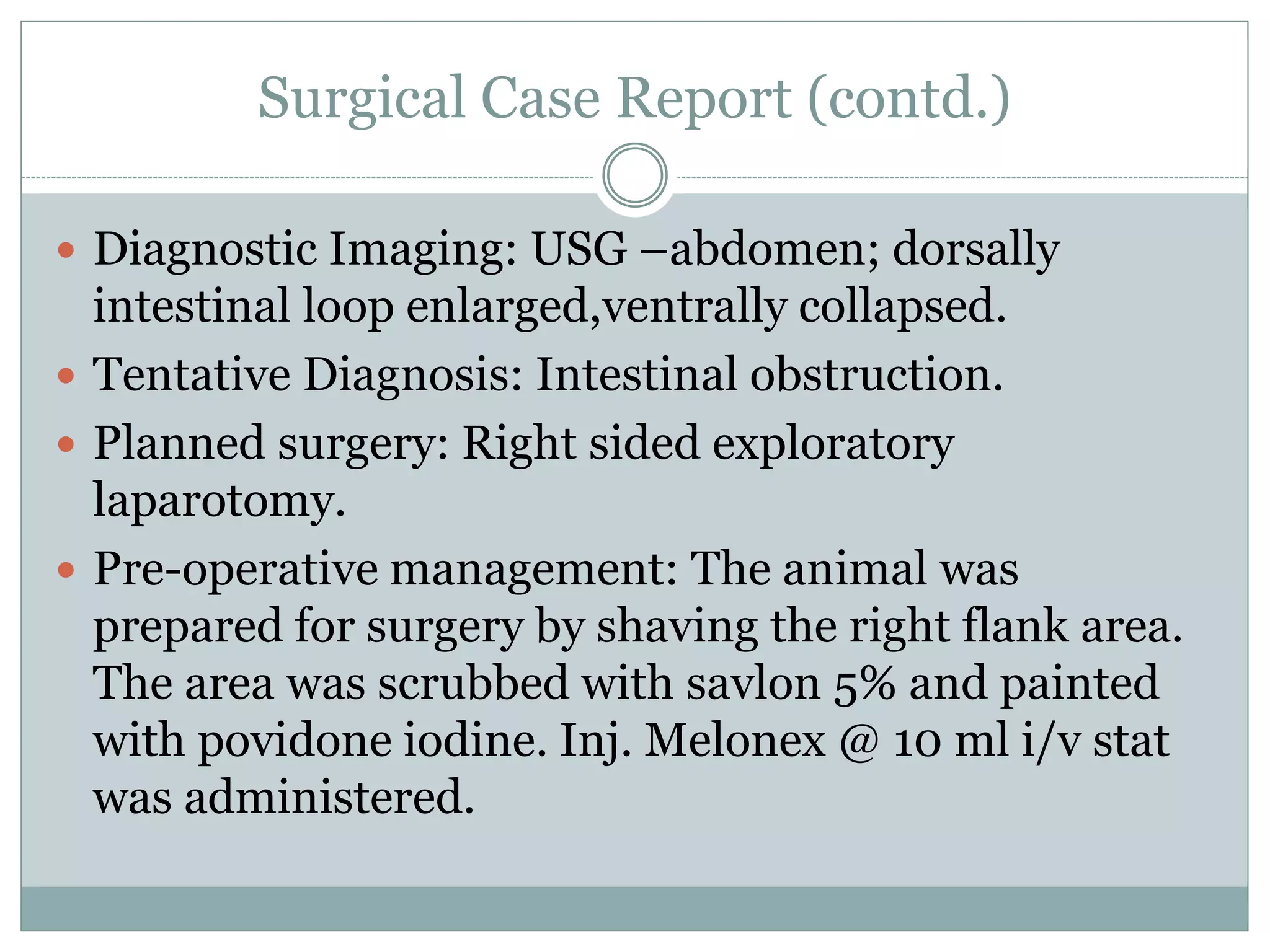 Intussusception in cattle | PPTX