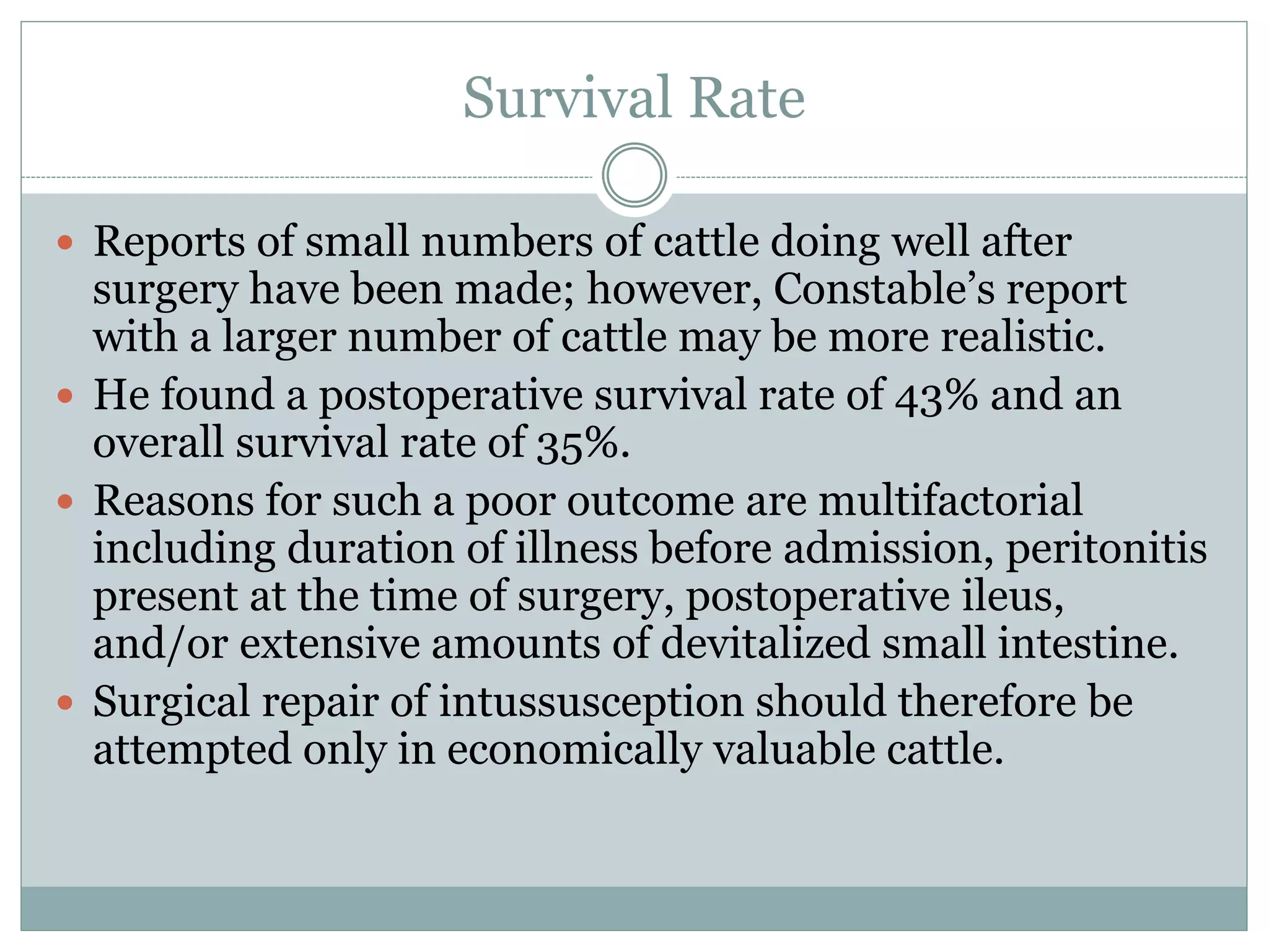 Intussusception in cattle | PPTX