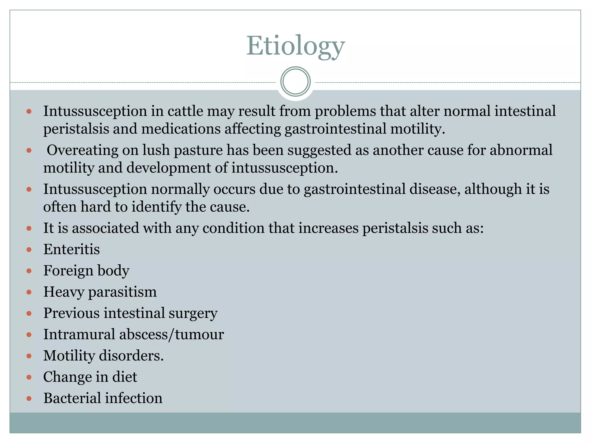 Intussusception in cattle | PPTX