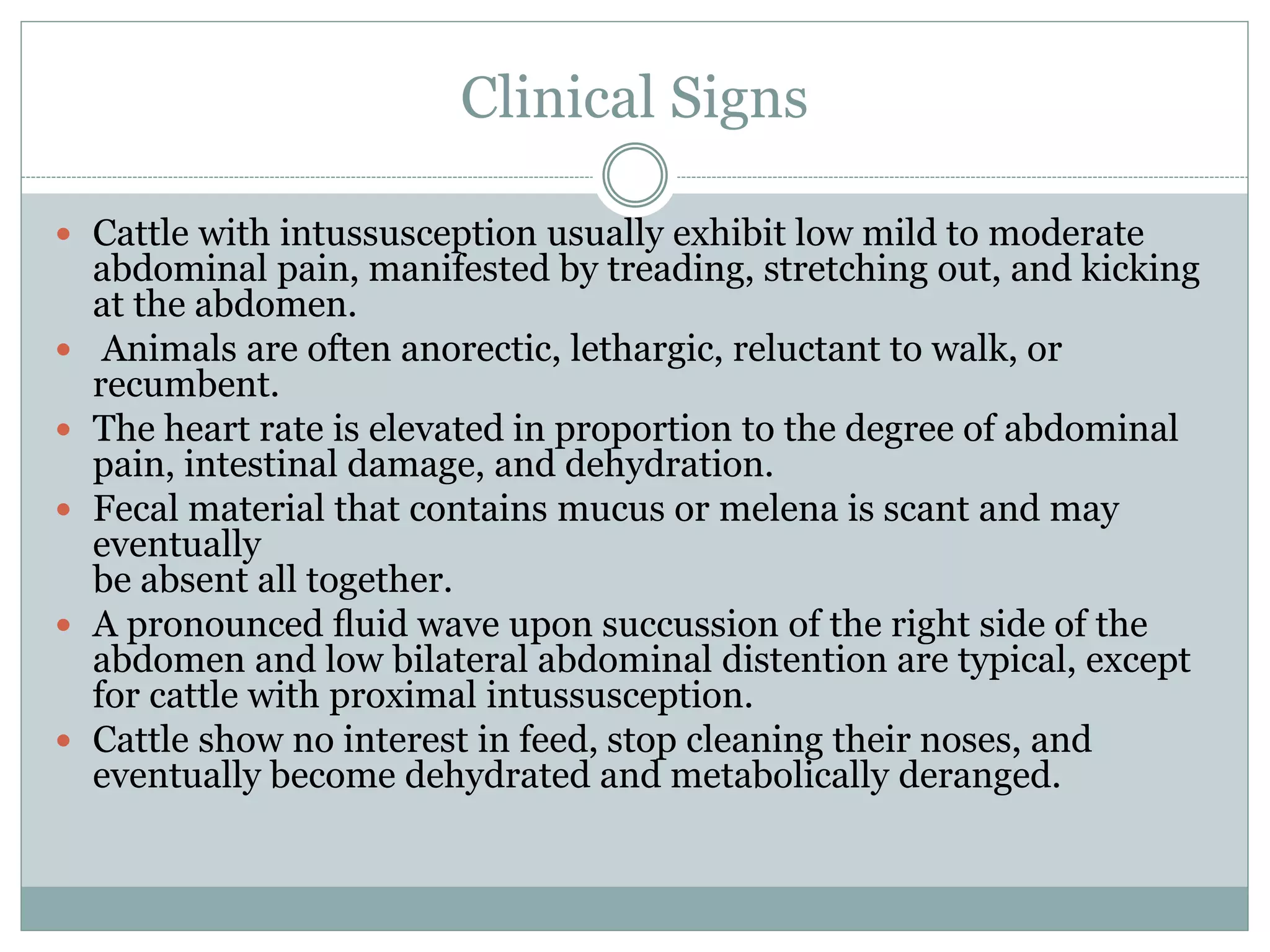 Intussusception in cattle | PPTX