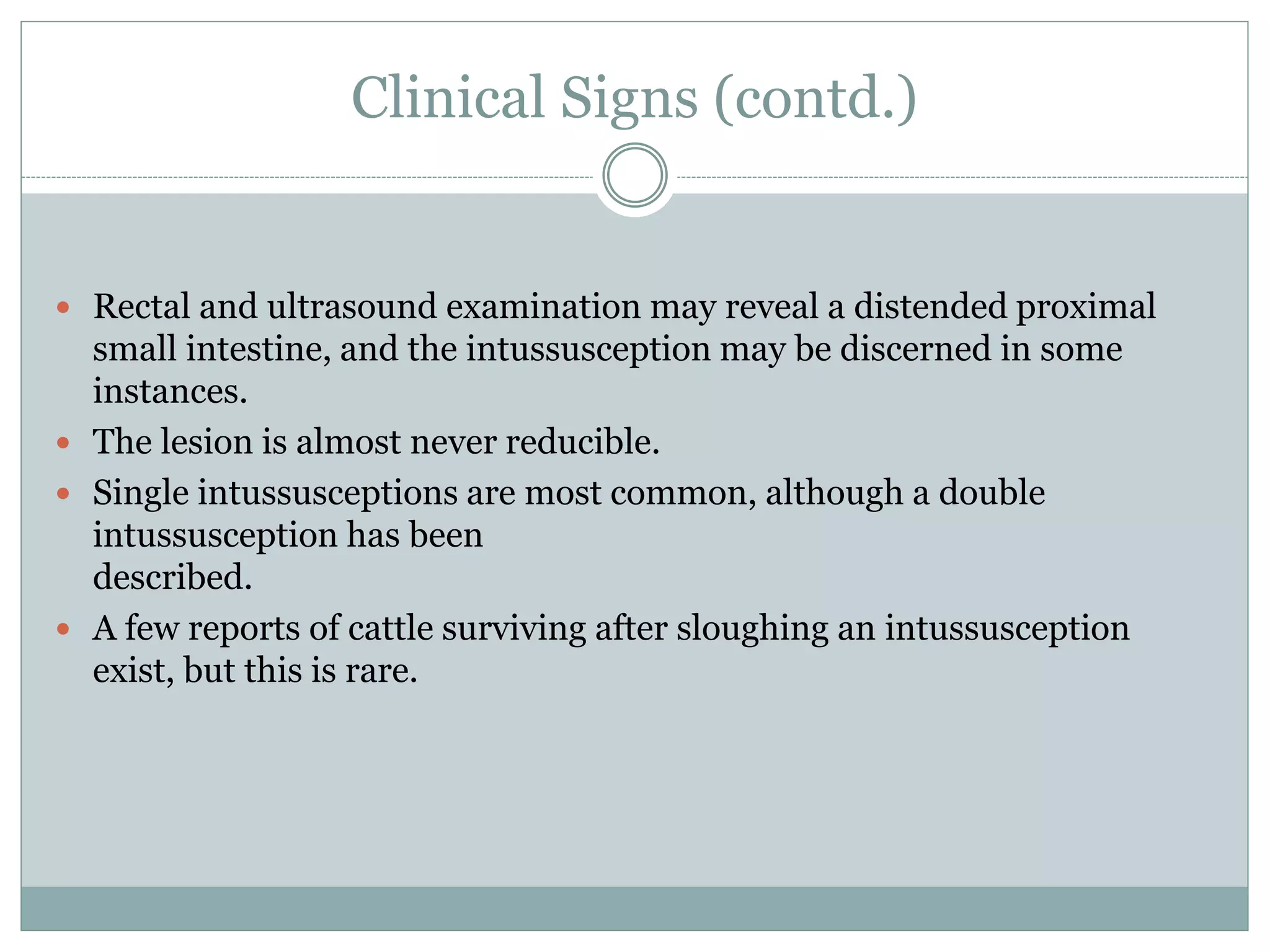 Intussusception in cattle | PPTX