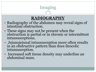 Intussusception in cattle | PPTX