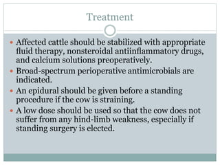 Intussusception in cattle | PPTX