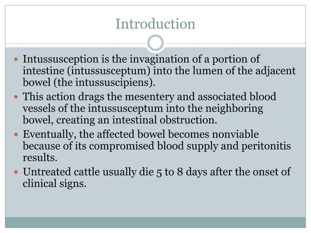 Intussusception in cattle | PPTX | Digestive Disorders | Diseases and ...