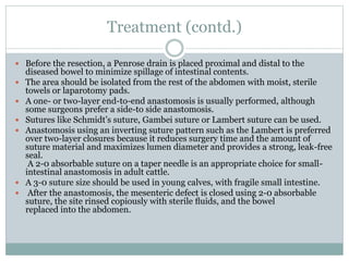 Intussusception in cattle | PPTX