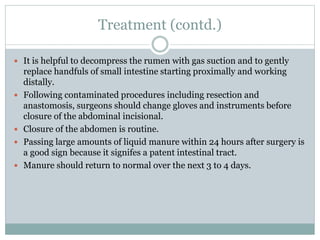 Intussusception in cattle | PPTX