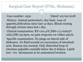 Intussusception in cattle | PPTX