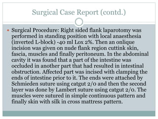 Intussusception in cattle | PPTX