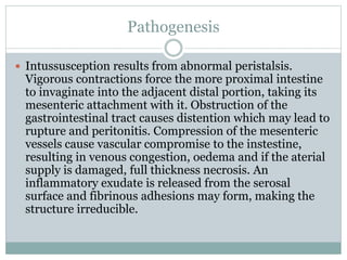 Intussusception in cattle | PPTX