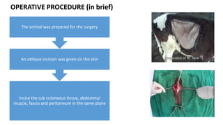 INTUSSUSCEPTION.pdf