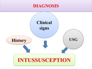 Successful management of intussusception in a cow under double drip ...