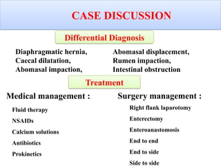 Successful management of intussusception in a cow under double drip ...