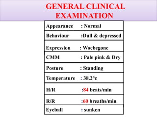 Successful management of intussusception in a cow under double drip ...
