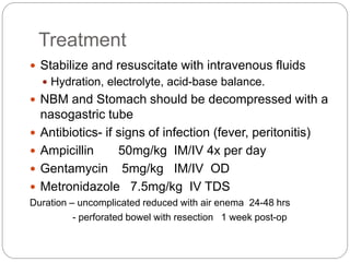 Intussusception (2) | PDF