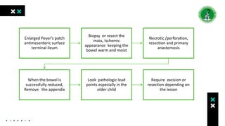 INTUSSUSCEPTION NEW power point fixed presentasion | PPTX | Digestive ...