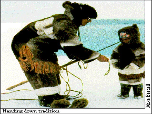 Inuit of Canada | PPT