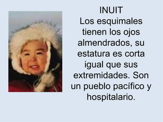 Inuit | PPT