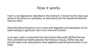 Inulin and its Extraction Methods | PPT