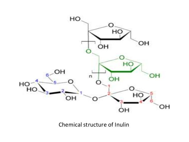 Inulin significance in food