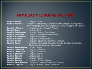 Inv. multilinguismo en el_peru | PDF