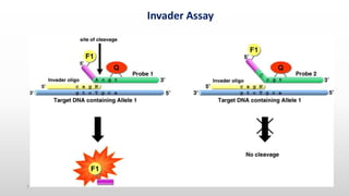 Invader assay | PPTX