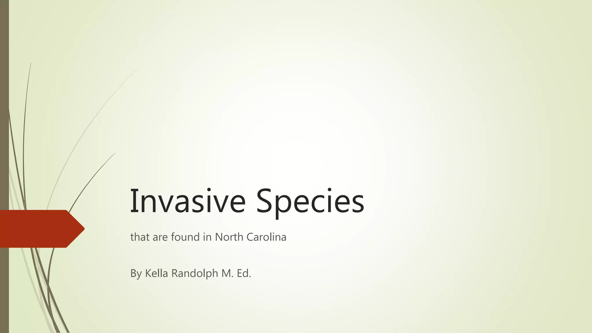 Invaders | PPT