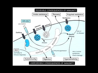 Invaders Of The Body | PPT | Chemistry | Science