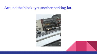 Invasion and succession | PPT