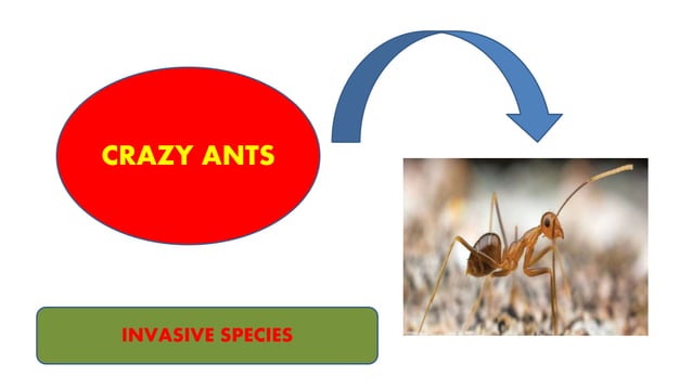 Invasion biology | PPT