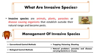 Invasion biology | PPT