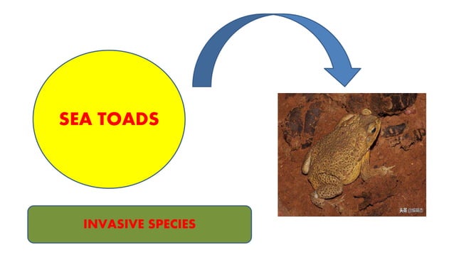 Invasion biology | PPT