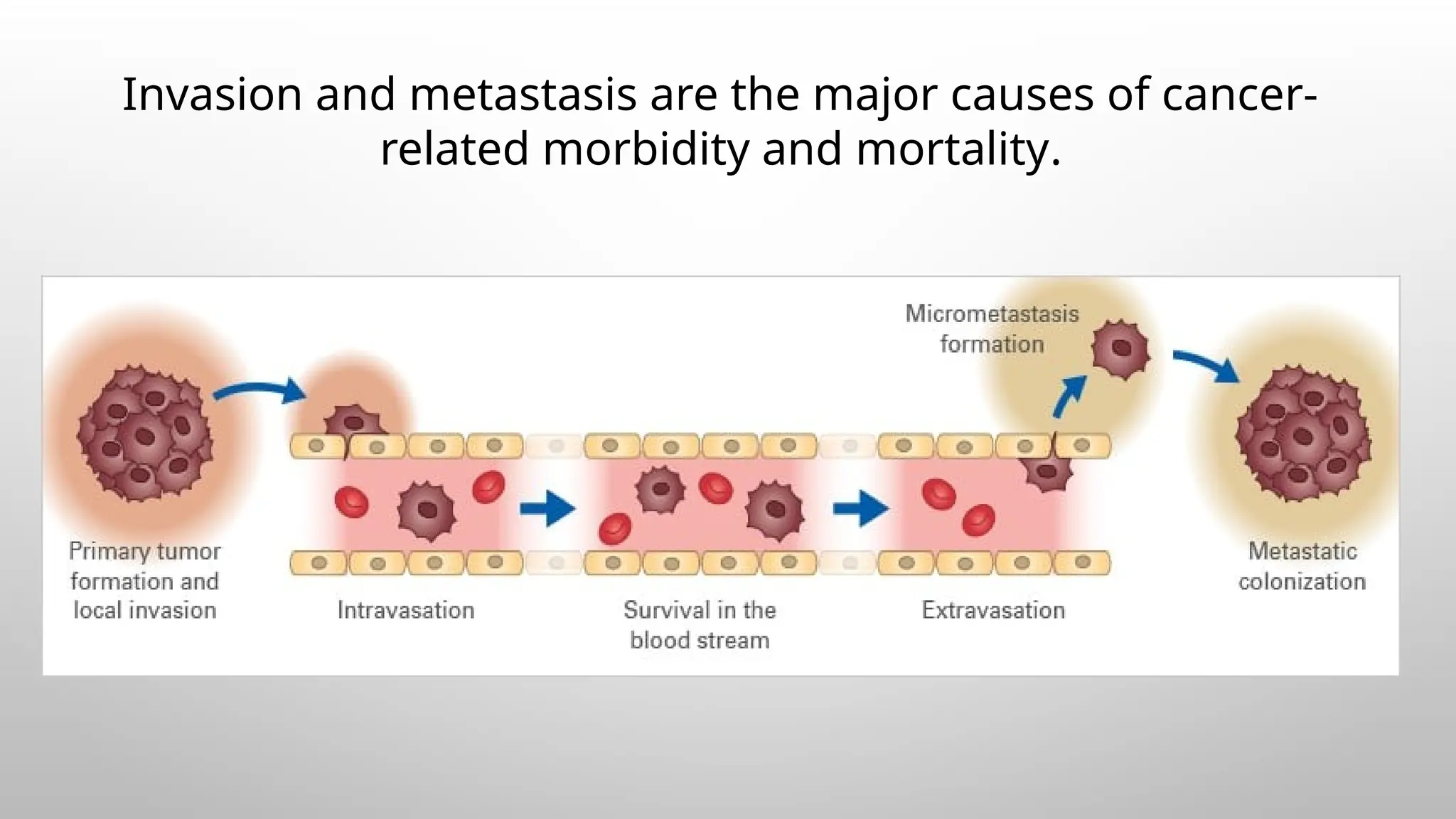 INVASION & METASTASIS .pptx