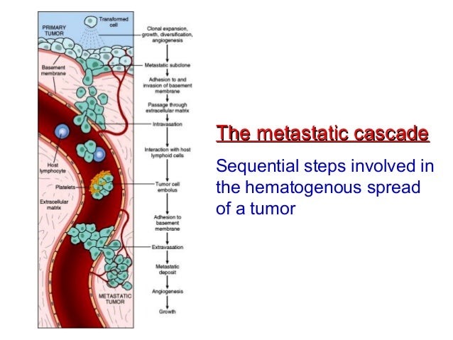 Invasion & metastasis csbrp
