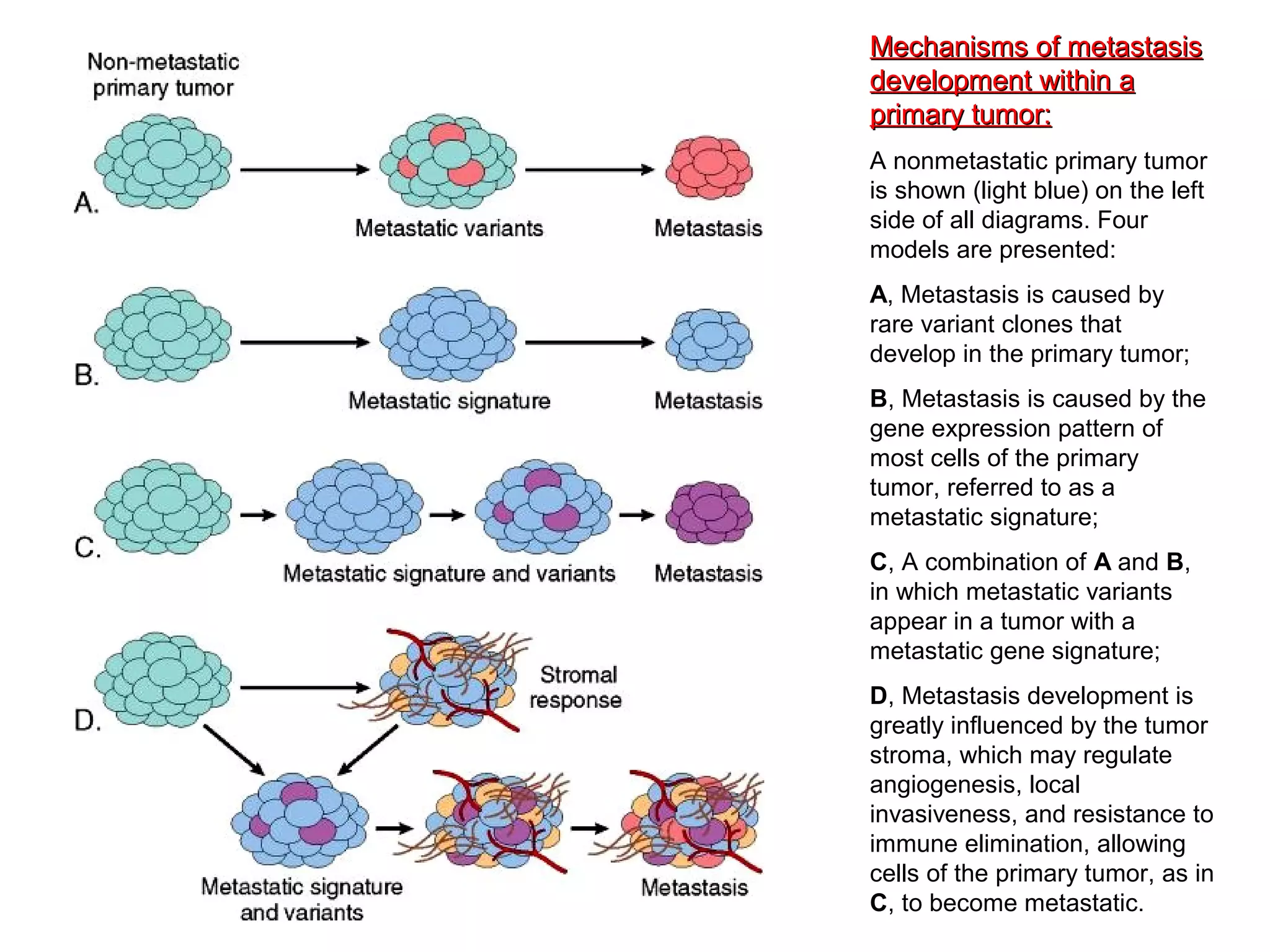 Invasion & metastasis csbrp | PPT