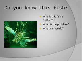 Invasion of the lionfish | PPTX