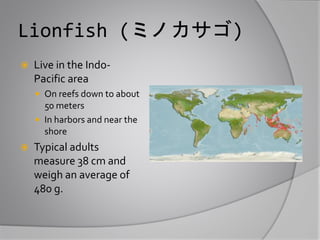 Invasion of the lionfish | PPTX