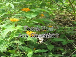 Invasive alien species | PPT