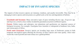 Invasive Alien Species.pptx