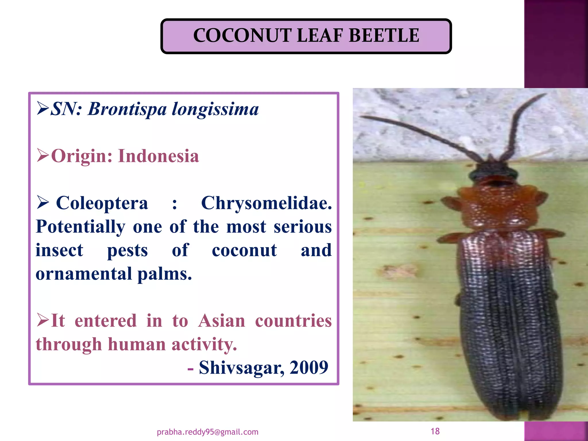 Invasive and alien insect pests impact in india | PPTX