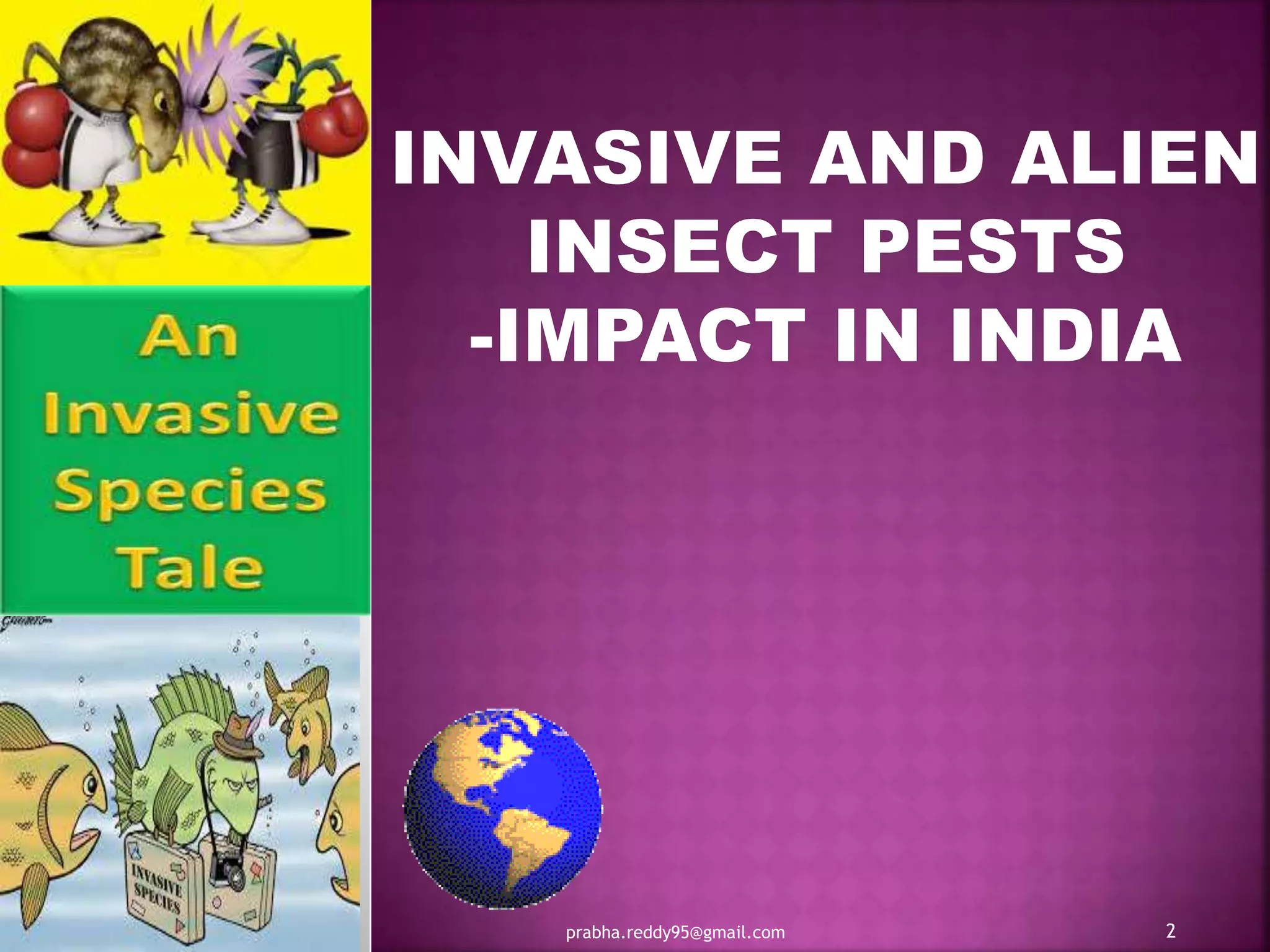 Invasive and alien insect pests impact in india | PPTX