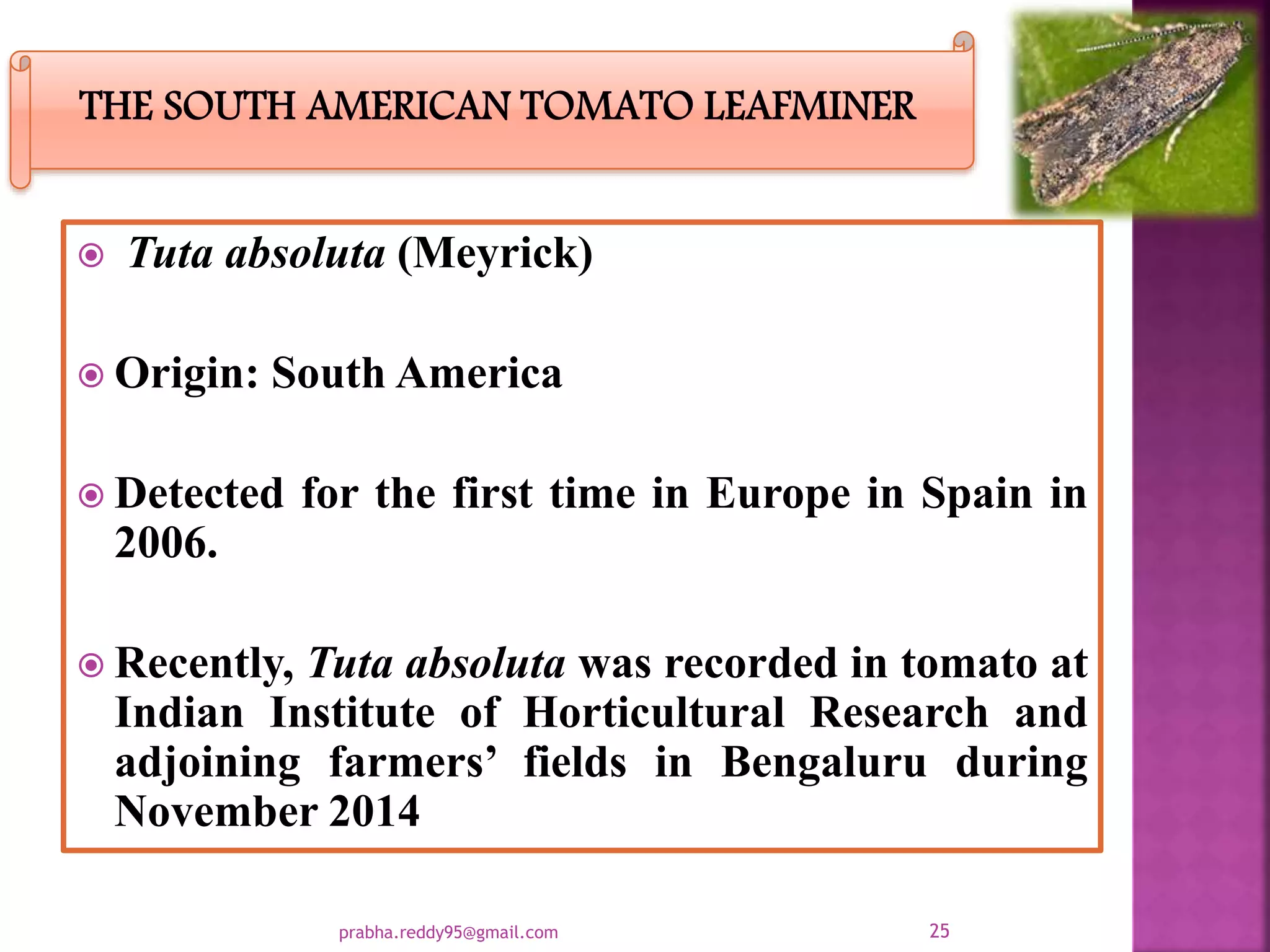 Invasive and alien insect pests impact in india | PPTX