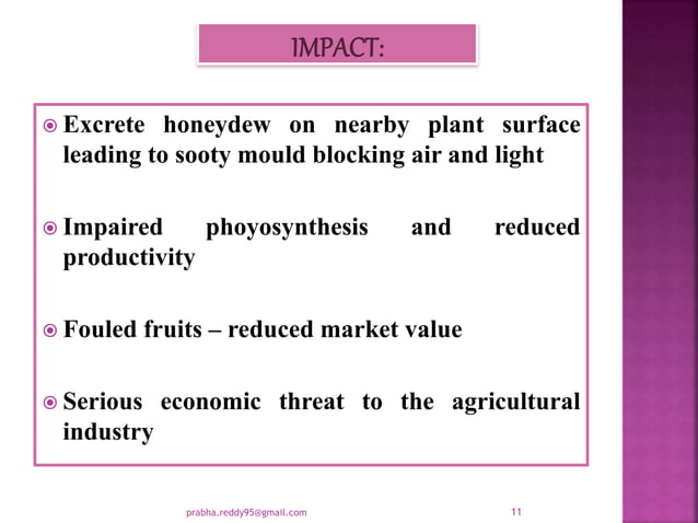 Invasive and alien insect pests impact in india | PPTX | Agriculture ...