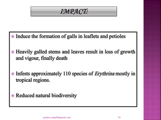 Invasive and alien insect pests impact in india | PPTX