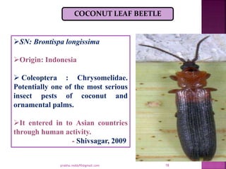 Invasive and alien insect pests impact in india | PPTX