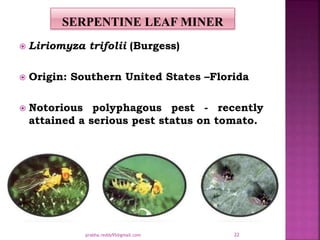 Invasive and alien insect pests impact in india | PPTX